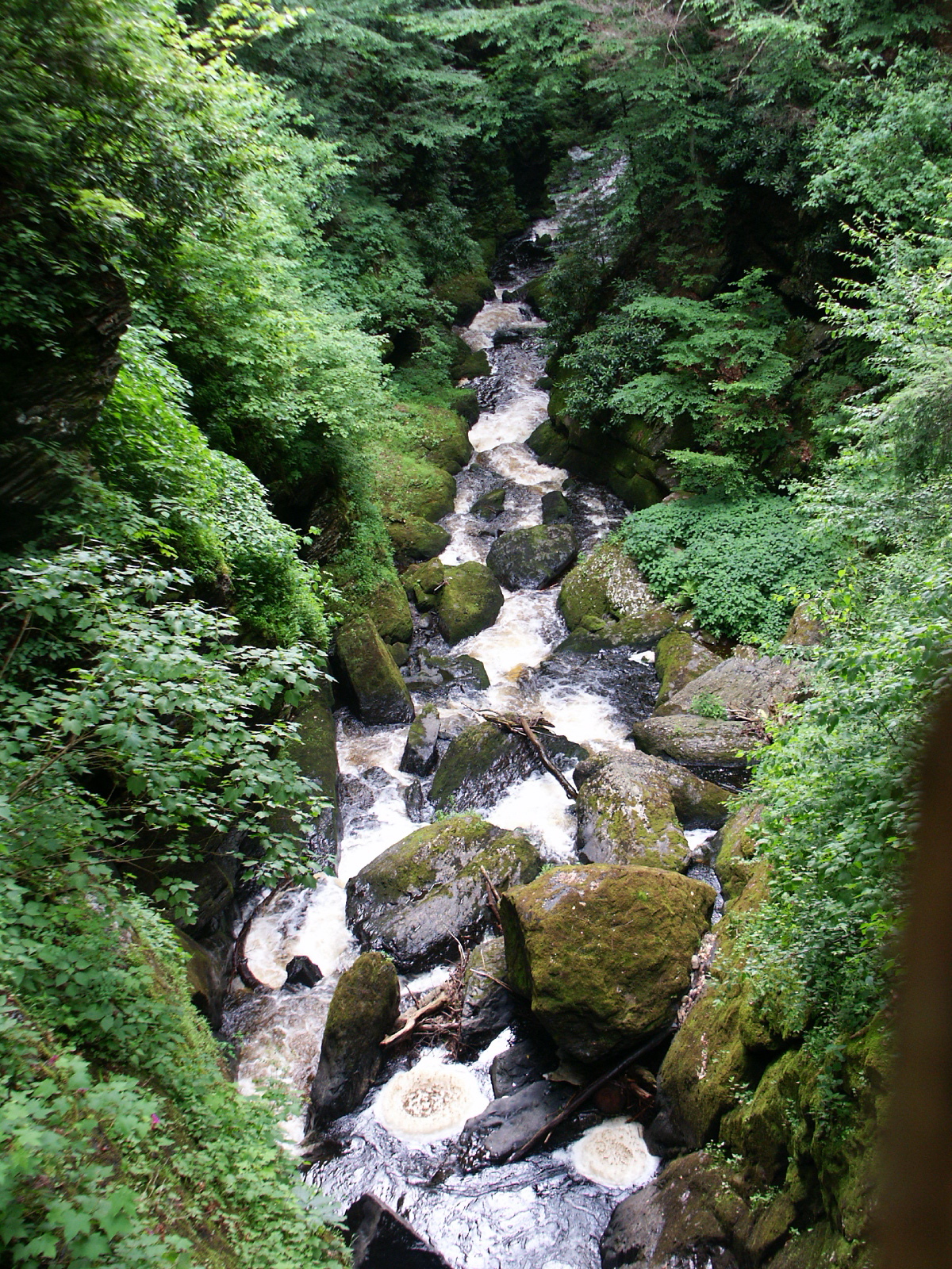 Bushkill Falls | Niagara of Pennsylvania | Poconos | Pet Friendly