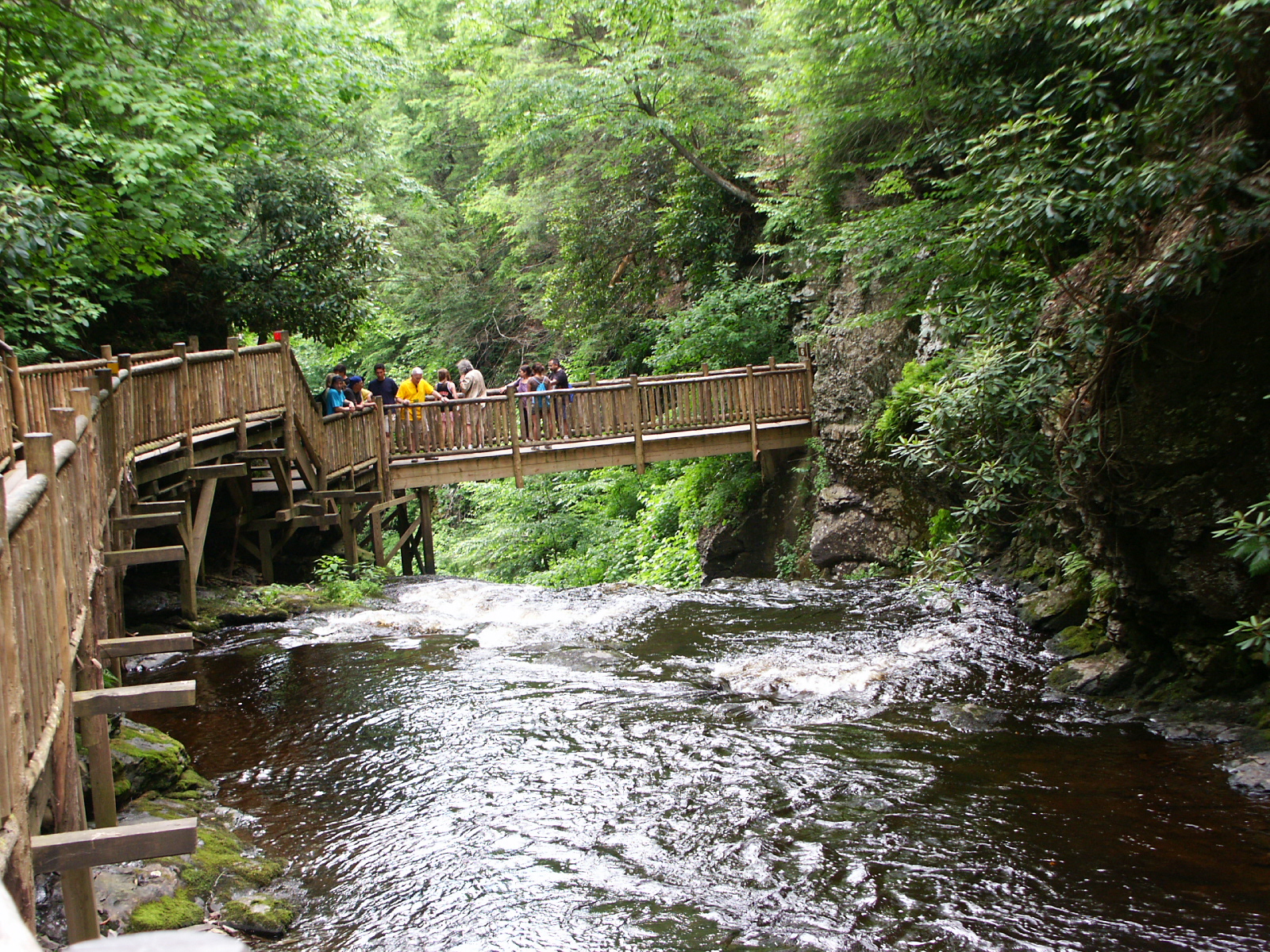 Bushkill Falls | Niagara of Pennsylvania | Poconos | Pet Friendly