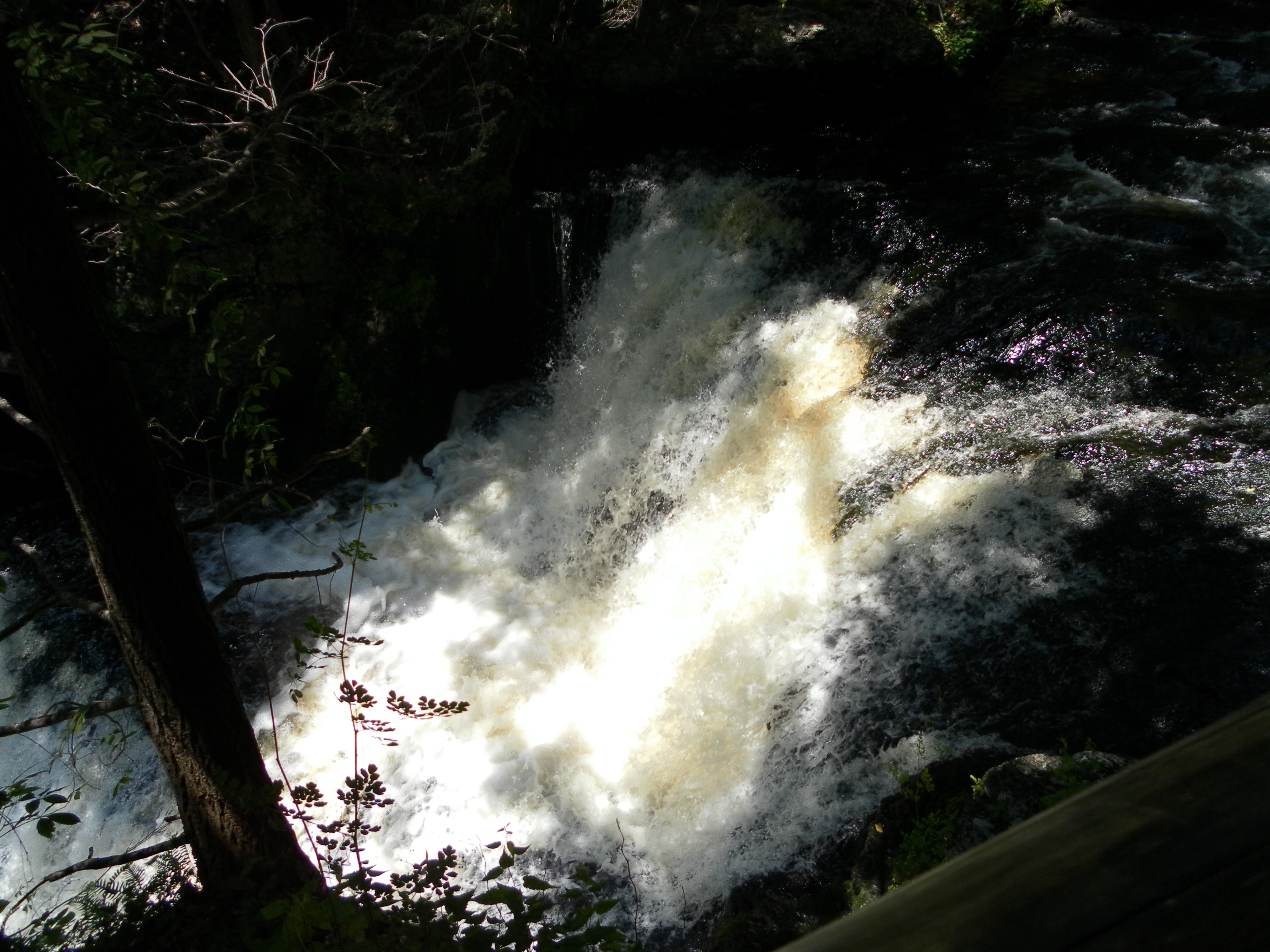 Bushkill Falls | Niagara of Pennsylvania | Poconos | Pet Friendly