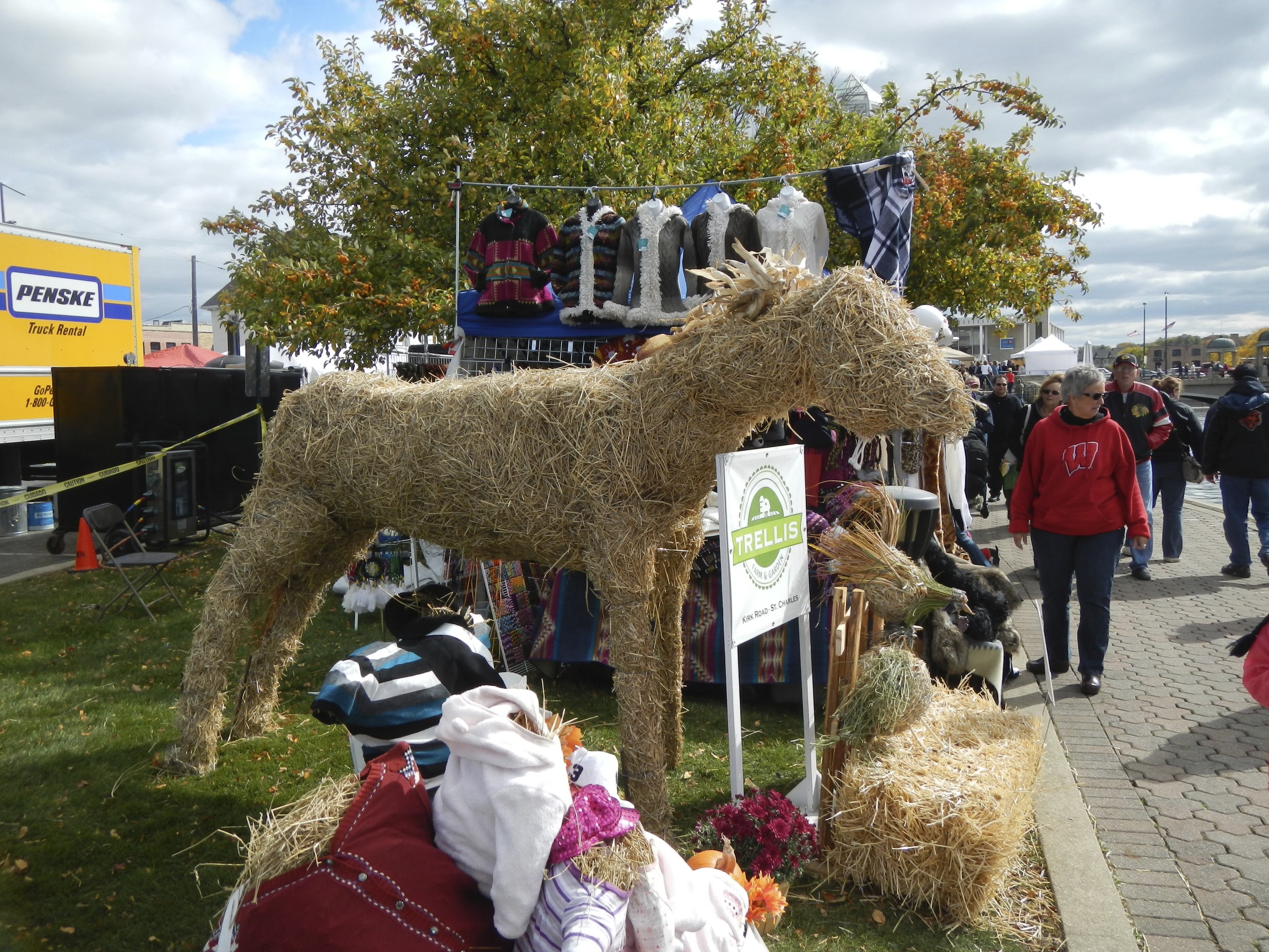 Scarecrow Festival | Dogs | Photos | Costumes | St. Charles Illinois