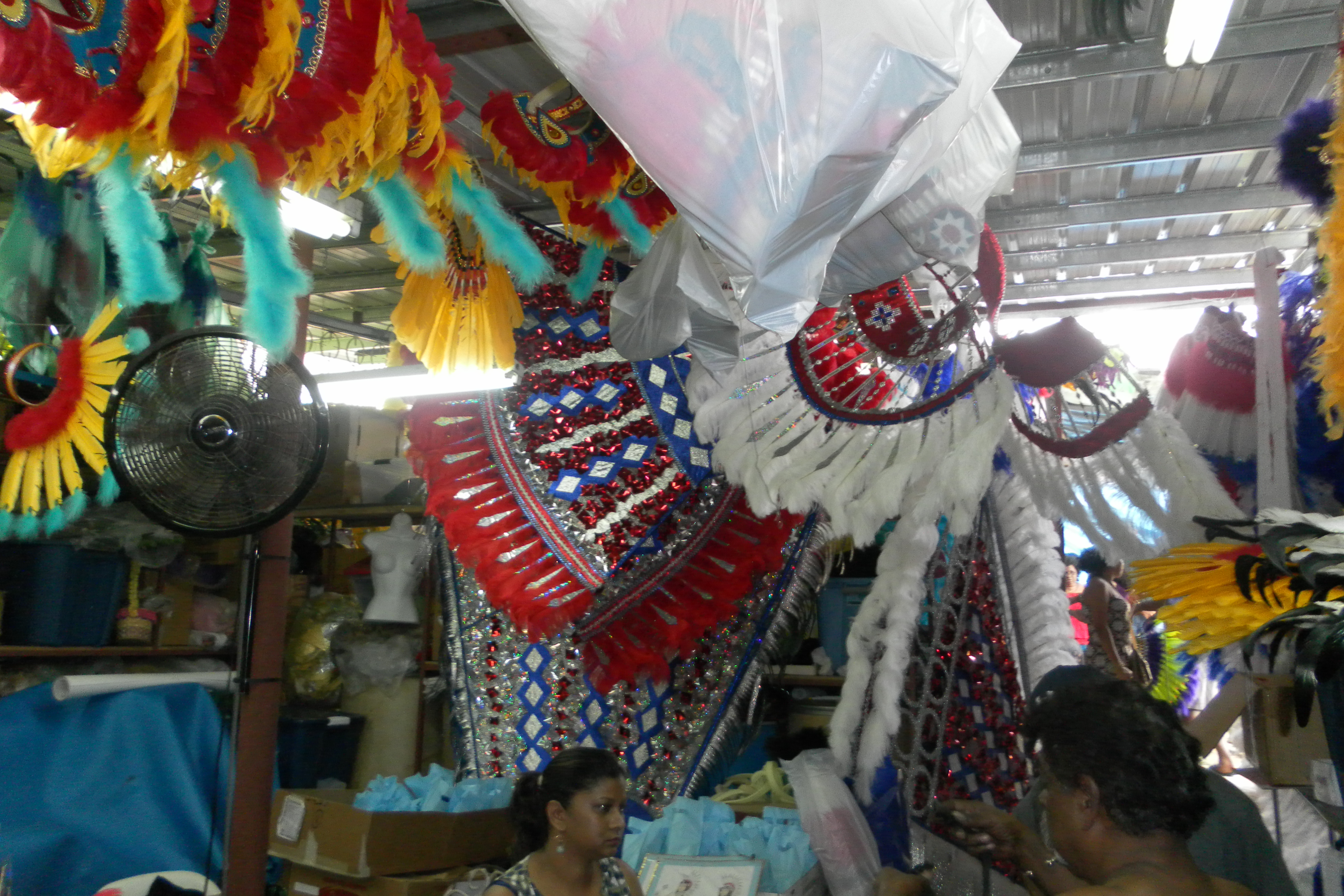 Carnival in Trinidad | A White Man's guide | Travel | Photos