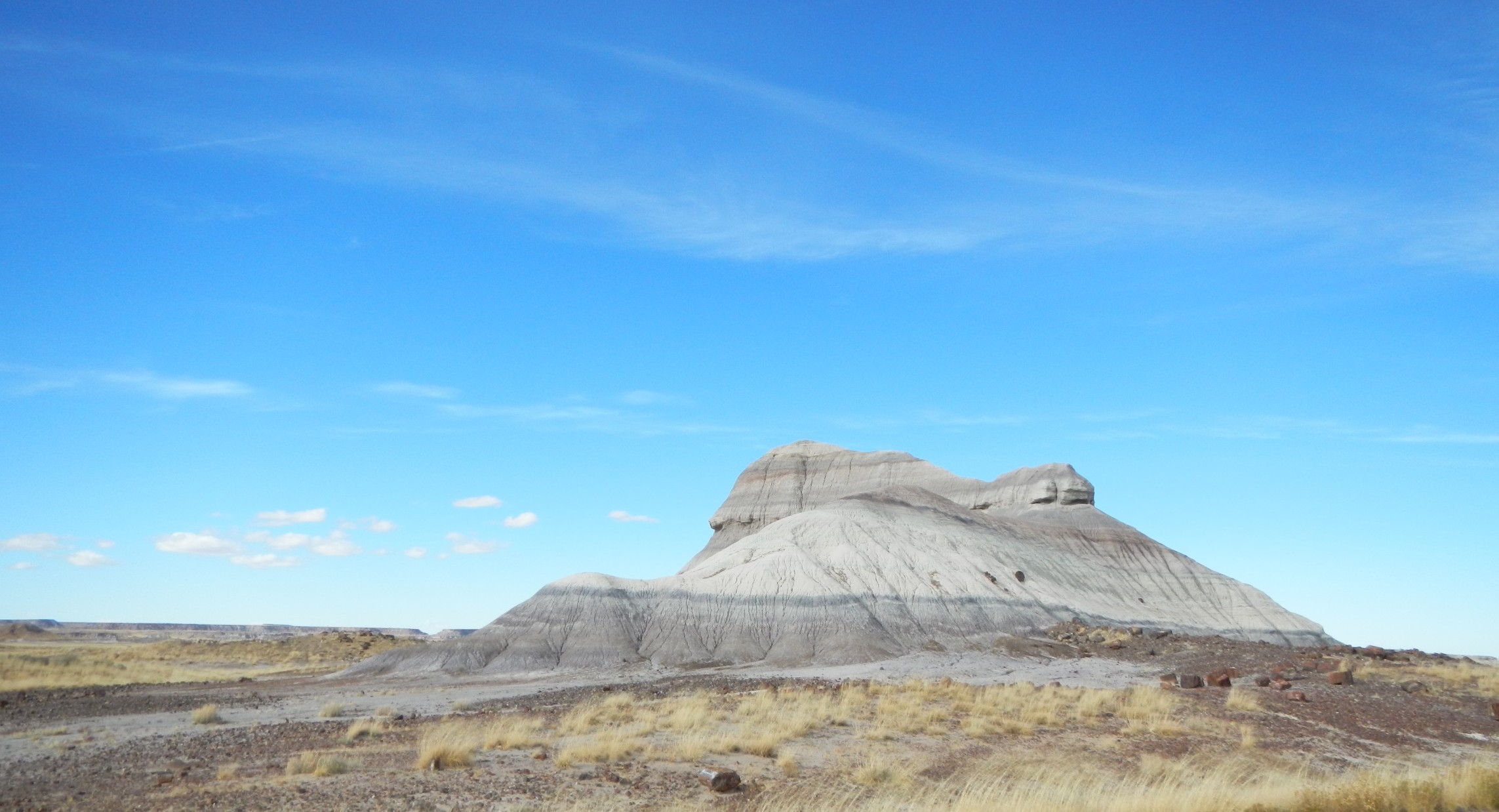 Petrified Forest National Park AZ | Facts | Travel Planner