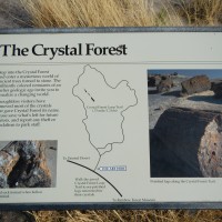 Petrified Forest National Park AZ | Facts | Travel Planner