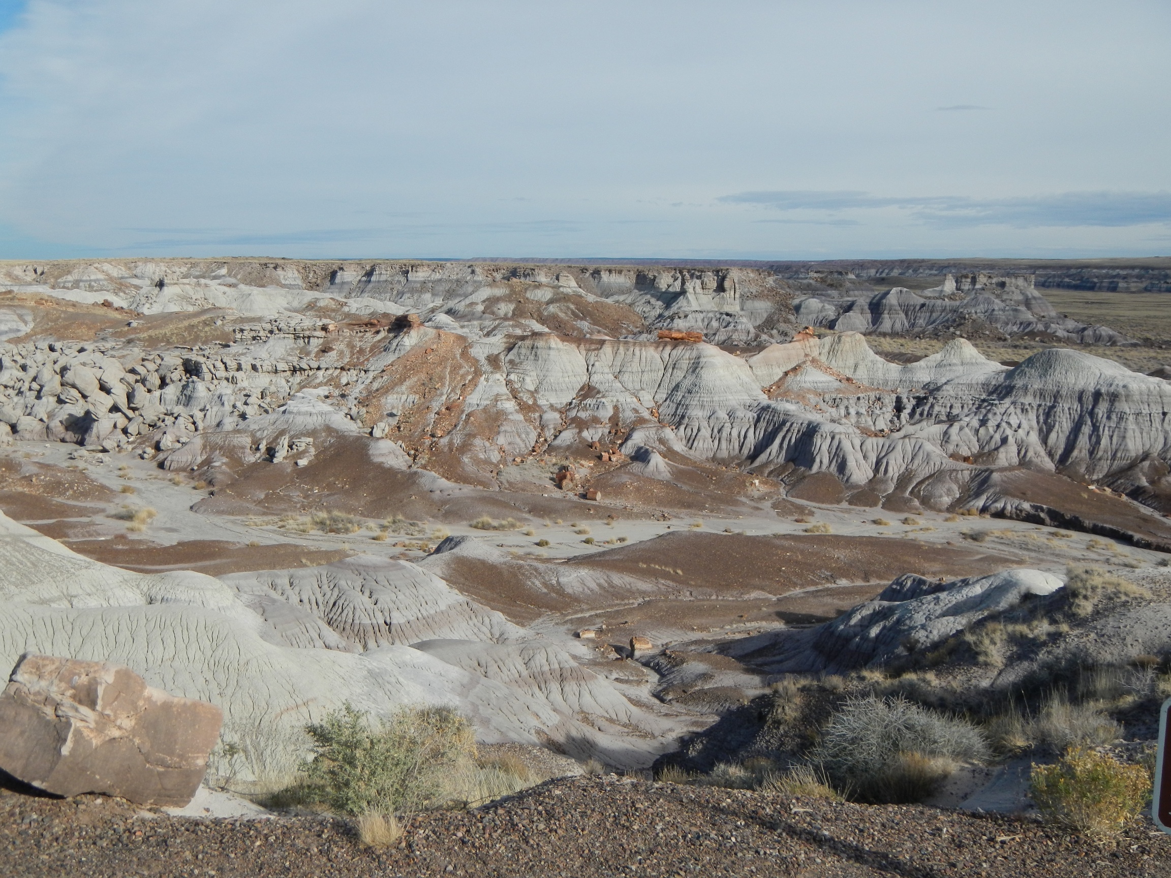 Petrified Forest National Park AZ | Facts | Travel Planner