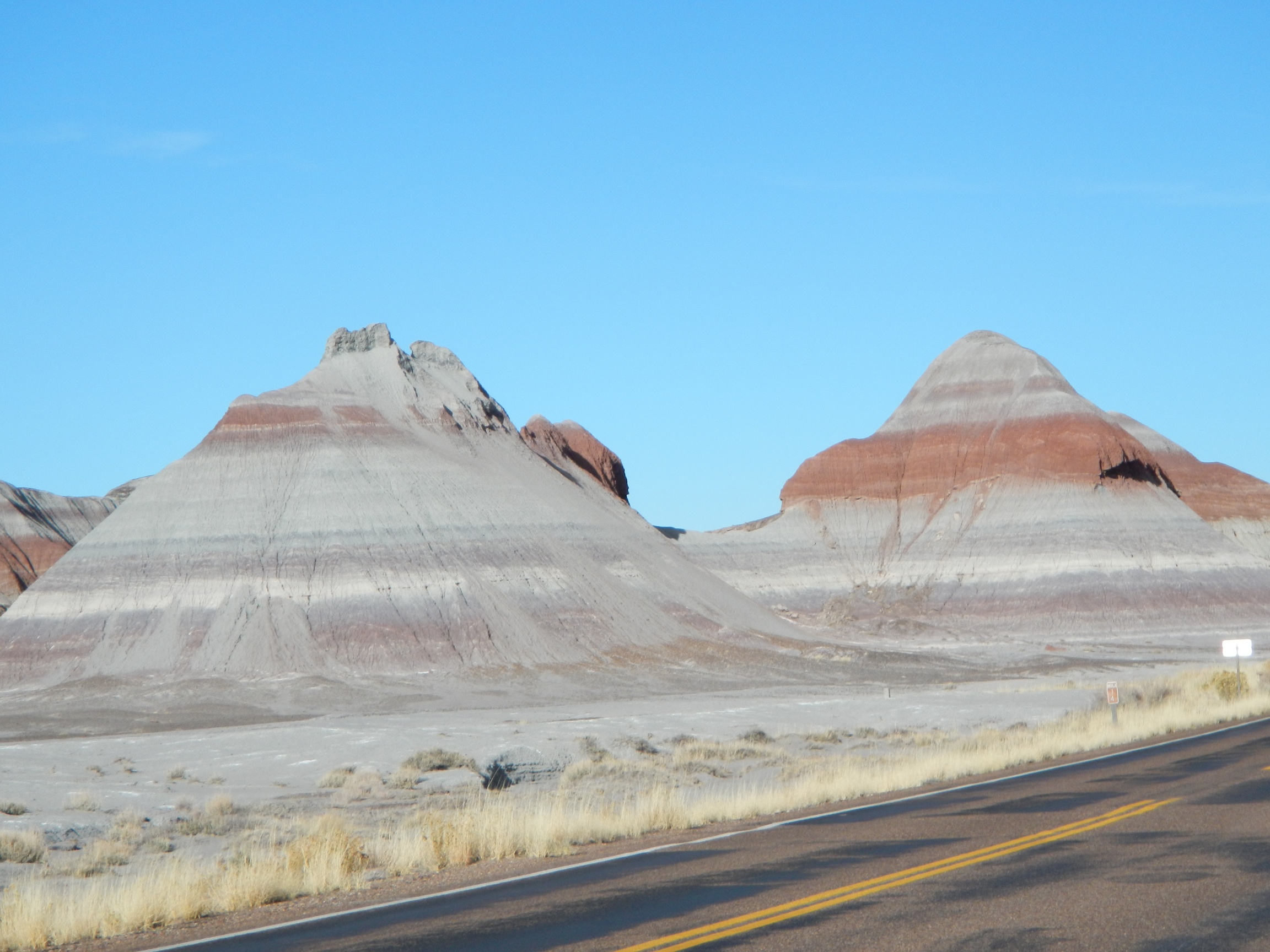 Petrified Forest National Park AZ | Facts | Travel Planner