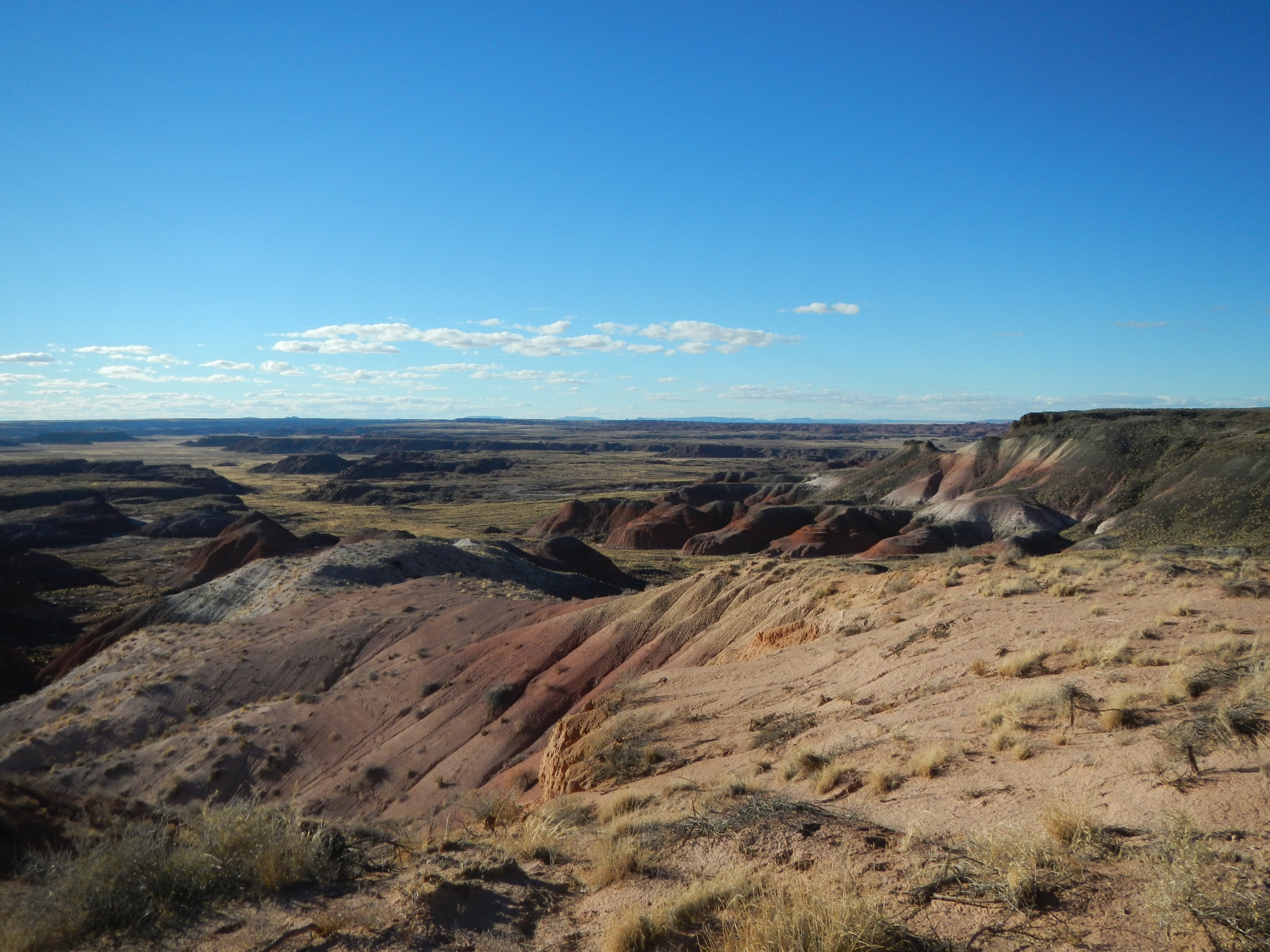 Petrified Forest National Park AZ | Facts | Travel Planner