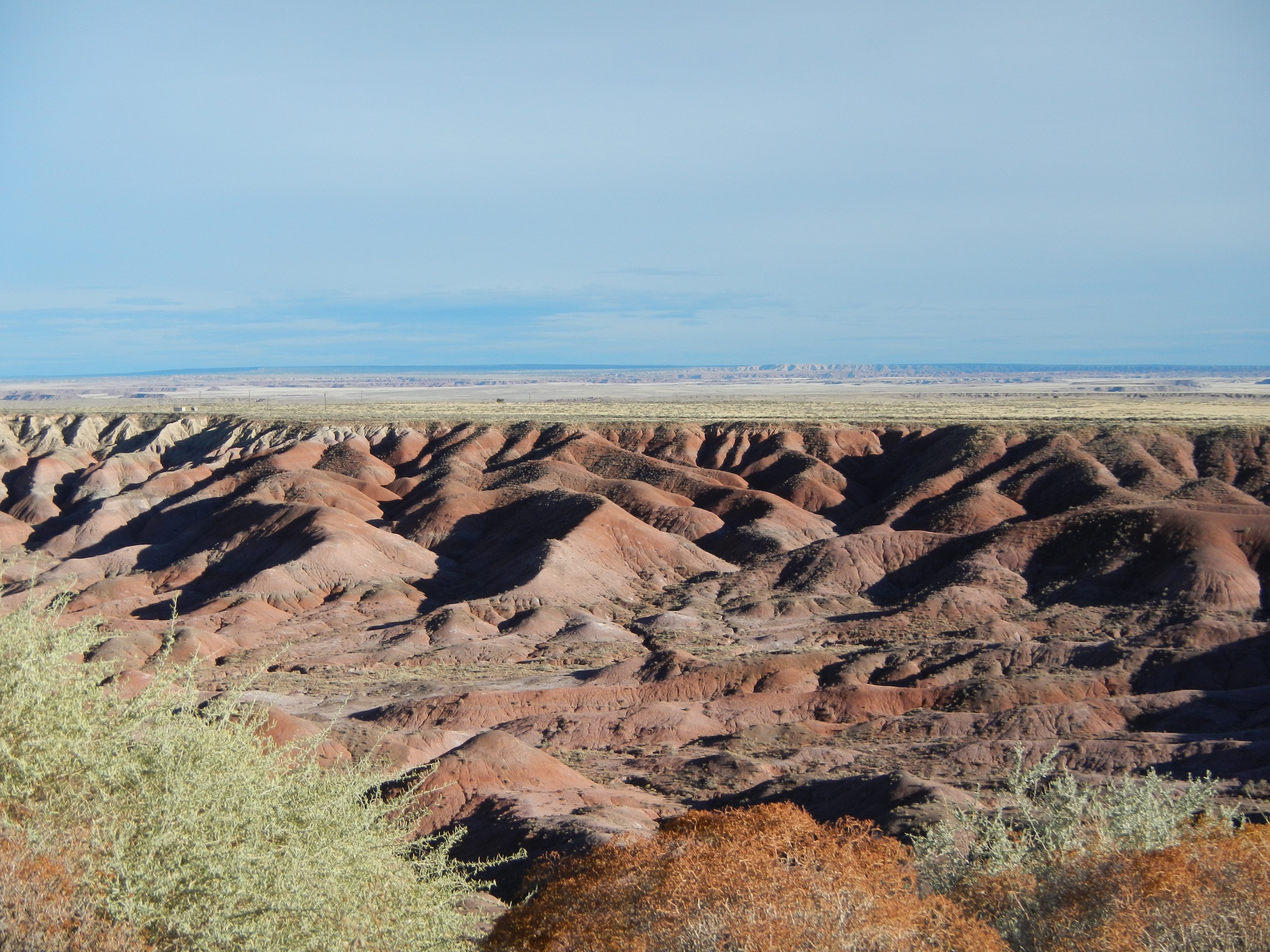 Petrified Forest National Park AZ | Facts | Travel Planner