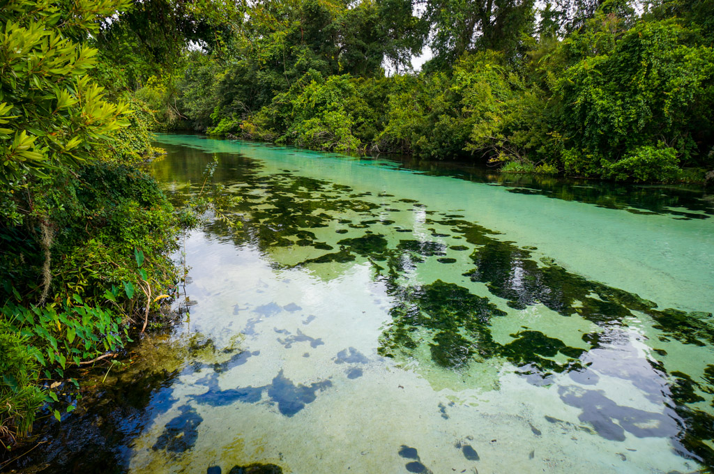 Mermaids Do Exist at Weeki Wachee Springs State Park!