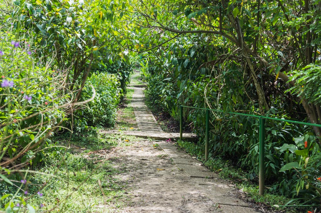 Asa Wright Nature Centre & Bird Sanctuary Trinidad & Tobago
