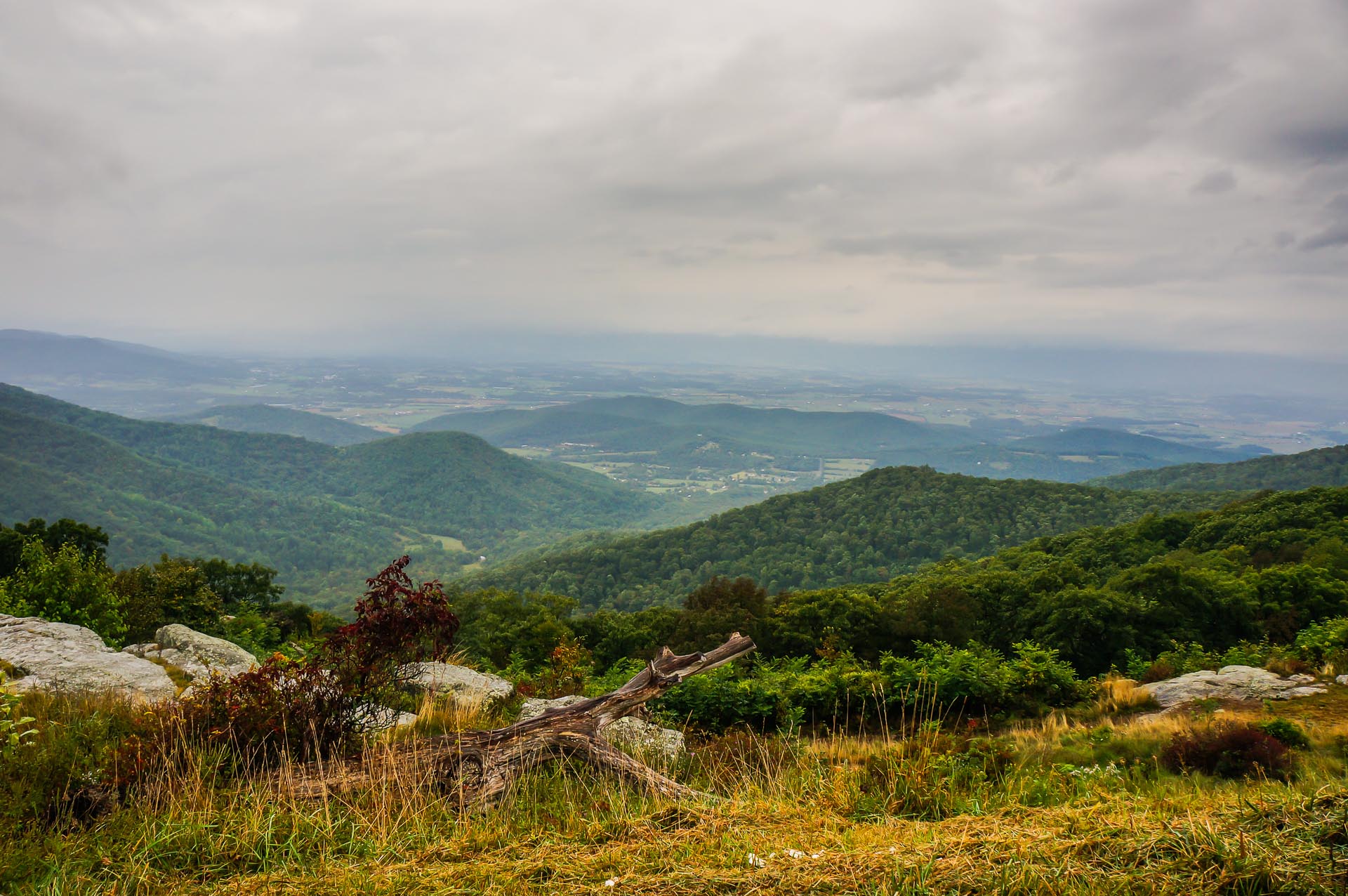 Blue Ridge Parkway Road Trip Planner | Skyline Drive
